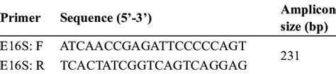 Primer Sequences For E Coli Species Specific Pcr Sun Et Al 2011 Download Scientific Diagram