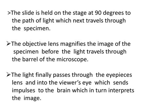 Principles And Application Of Light Microscopy Pptx