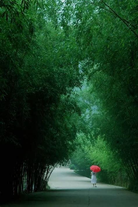 走過最美的洛陽 每日頭條