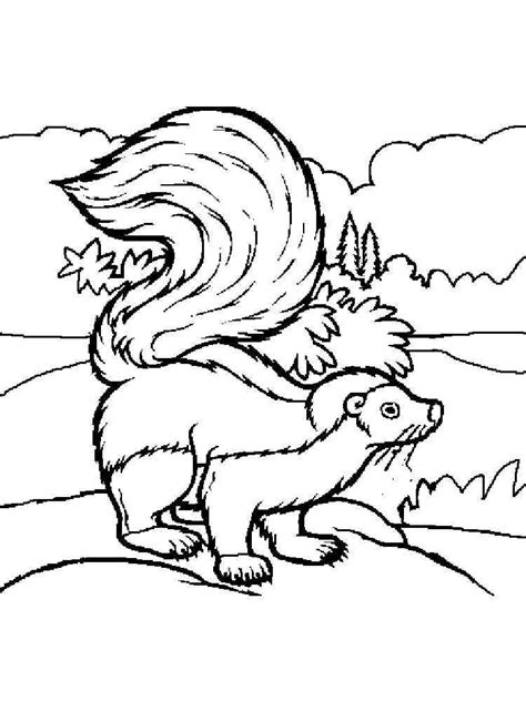 Skunk Coloring Pages Seacoloring