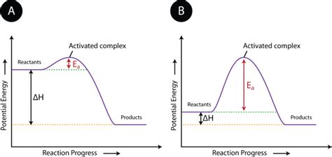 Reaction Progress Diagram