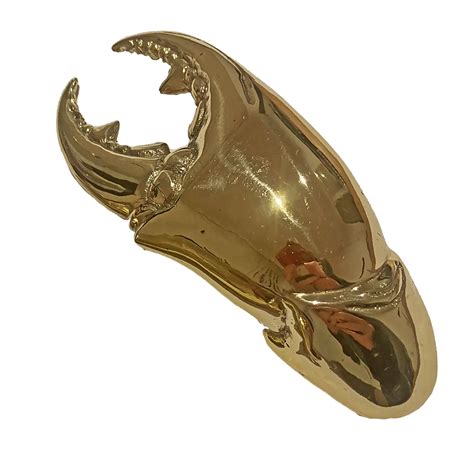 Bottle Openers Mollusc House