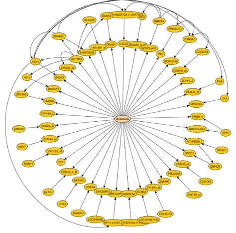 Phenotype Centered Network Provided By Bayesian Networks Algorithm Download Scientific Diagram