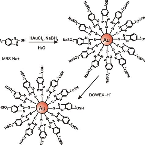 Scheme 1 Preparation Of Catalytically Active Gold Nanoparticles Download Scientific Diagram