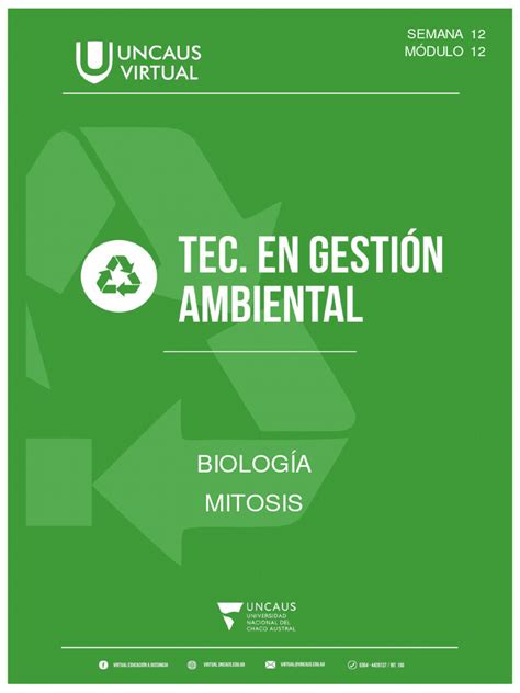 MÓdulo 12 Semana 12 Pdf Mitosis Biología Celular