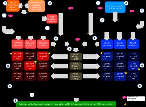 Workflow For Evaluating Action Strategies And Prioritising Conservation Download Scientific
