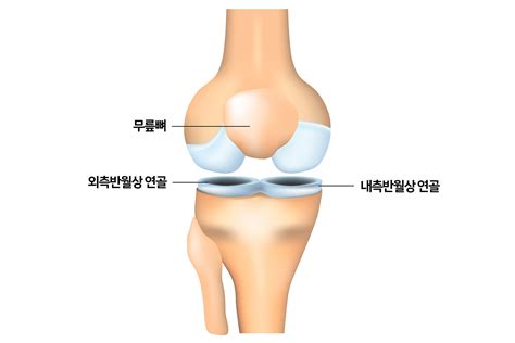 세바른병원