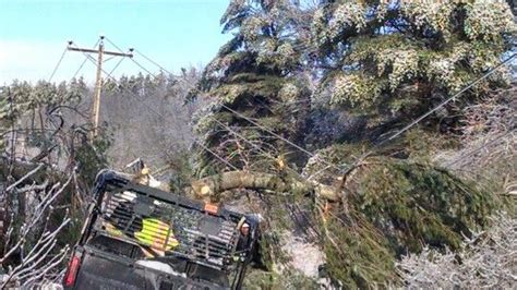 A Utility Vehicle Is Parked On The Side Of A Road That Has Fallen Trees