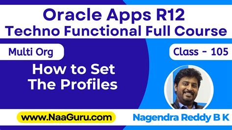 Class 105 How To Set The Profiles Multi Orgoracle Apps R12 Techno Functional Naaguru