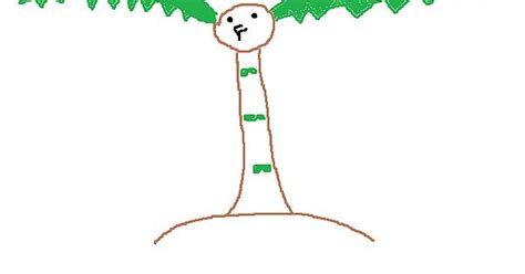 Rowlet Evolution Imgur