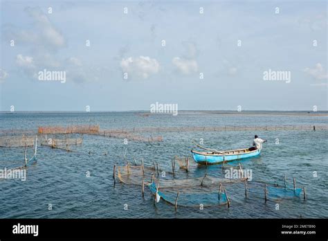Fisherman Near Causeway Jaffna Kayts North Eastern Province Sri