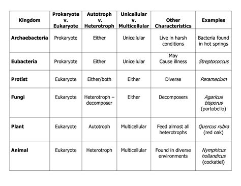 13 The Kingdoms Of Life Worksheet
