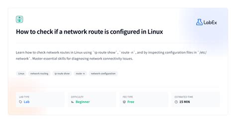 how to check if a network route is configured in linux labex