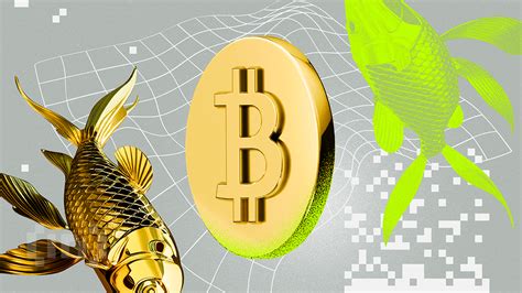 بيتكوين ستتبع ارتفاع الذهب مع تأخير لمدة 100 يوم وسط ازدهار السيولة