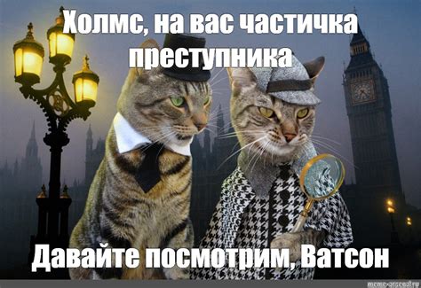Создать мем кот детектив кот в цилиндре кот шерлок Картинки
