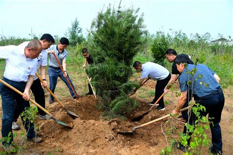 北京第一个二十大纪念林在八达岭林场管理处揭牌 文化快报 首都之窗 北京市人民政府门户网站