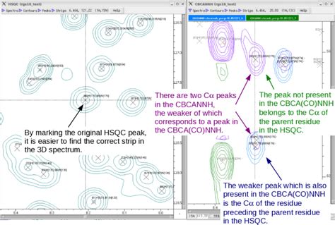 Manual Assignment Protein Nmr