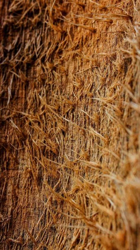 Unveiling True Significance Of Modal Fabric Meaning Explored