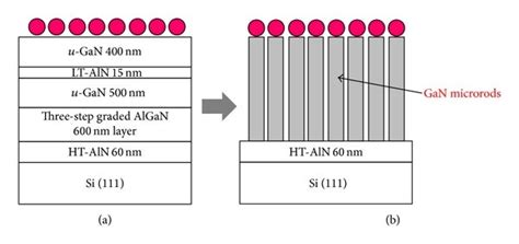 Schematic Of A Grown Epitaxial Gan Structures On Si 111 Substrates Download Scientific