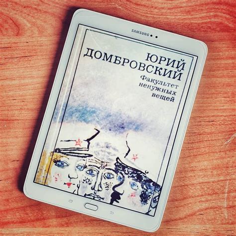 Факультет ненужных вещей. Ю. Домбровский - Виола Петрачук