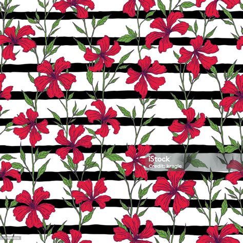 일반적인 아욱 꽃 꽃 완벽 한 패턴입니다 벡터 그림 꽃 디자인 배경입니다 0명에 대한 스톡 벡터 아트 및 기타 이미지 0명 검은색 꽃 나무 Istock