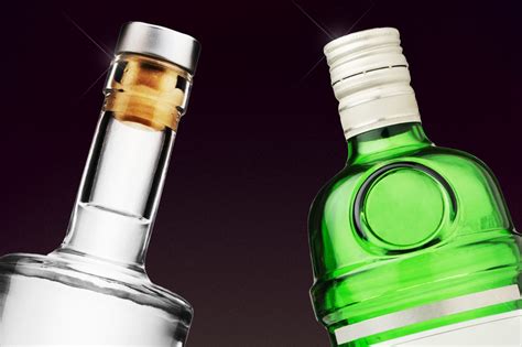 Gin Vs Vodka Whats Better Wine Enthusiast