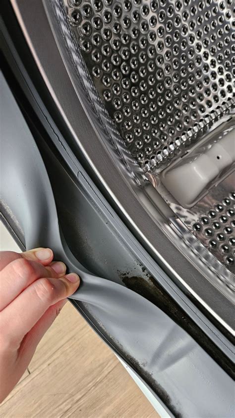 나눈질문4 원룸 이사를 왔는데 세탁기가 너무 더러워서 지식in