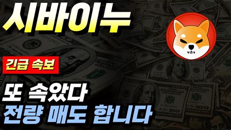시바이누 전량 매도 합니다 Youtube
