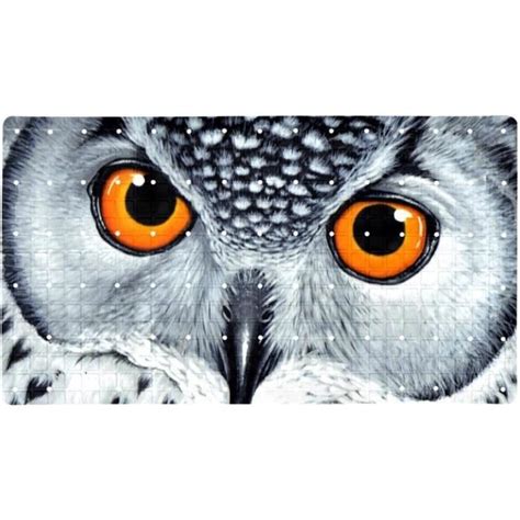 Tapis de Douche Tapis de Baignoire antidérapant Tapis de Bain pour Baignoire Hibou Oiseaux