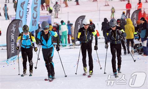제4회 화이트 스페이스 스키모 챌린지 위드 스카르파 산악스키 대회 뉴스1