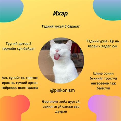 Ордуудын тухай 5 хөгжилтэй факт Pinko Mn