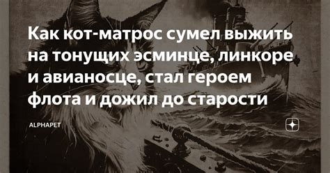 Как кот матрос сумел выжить на тонущих эсминце линкоре и авианосце