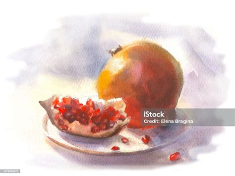 수채화 배경에 석류 과일 그룹의 수채화 현실적인 그림 석류에 대한 스톡 벡터 아트 및 기타 이미지 석류 수채화 0명