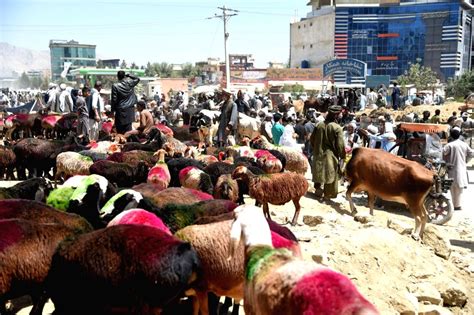 Afghanistan Kabul Eid Al Adha