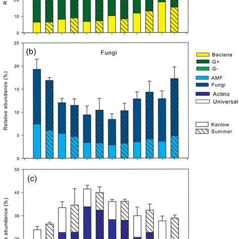 Soil Microbial Community Composition Relative Abundance Mol For