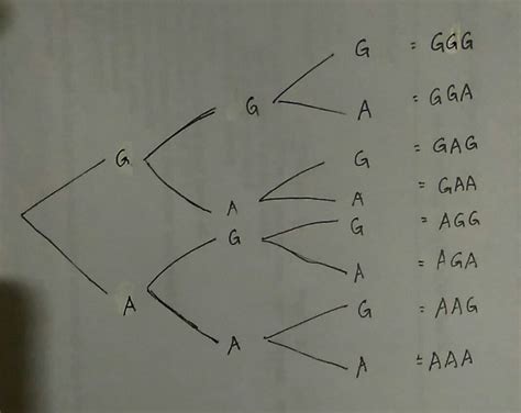 Detail Contoh Diagram Pohon Koleksi Nomer 41