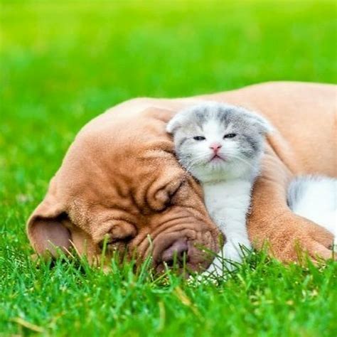 走近阿玲的诗意生活 Youtube