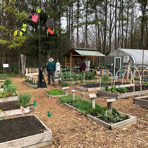 Learn How To Grow Food Using Usda Organic Methods Following Food Safety