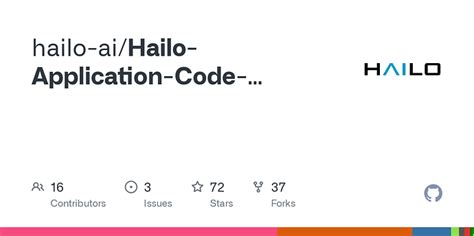 Running The Project Hailo Application Code Examples General Hailo