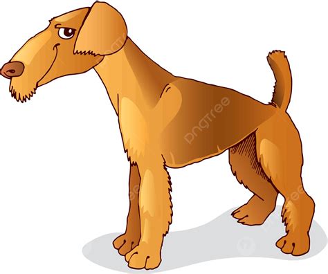 جحر Airedale رسم ترير فكاهي المتجه رسم جحر رسوم متحركة Png والمتجهات