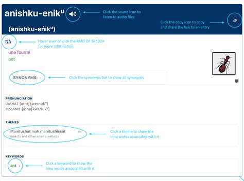 How To Use The Online Innu Dictionary