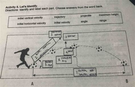Solved Activity 5 Lets Identify Directions Identify And Label Each