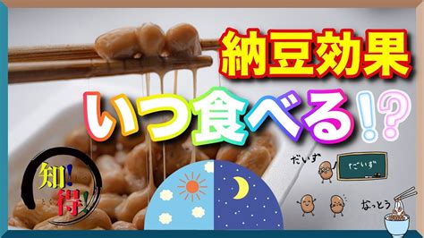 納豆は夜食べる方が断然良い！夜納豆の凄すぎる健康効果！ 知っ得 雑学 Youtube