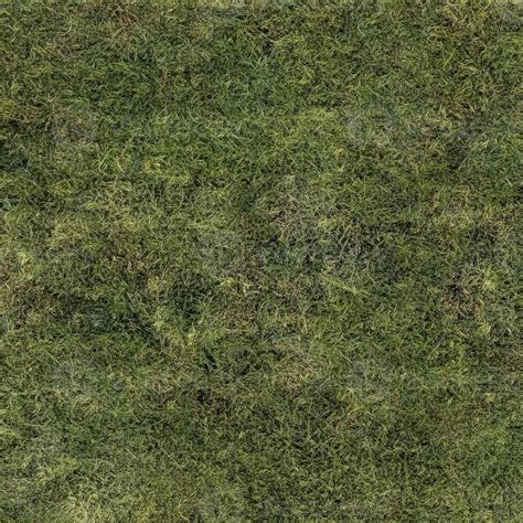 High Quality Seamless Grass Texture Map For Versatile Material Creation And Commercial