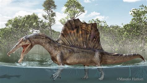 Marchan Blog スピノサウルスアエギュプティアクス Spinosaurus aegyptiacus