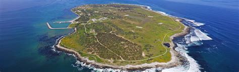 Your Guide To Robben Island Cape Town Tourism
