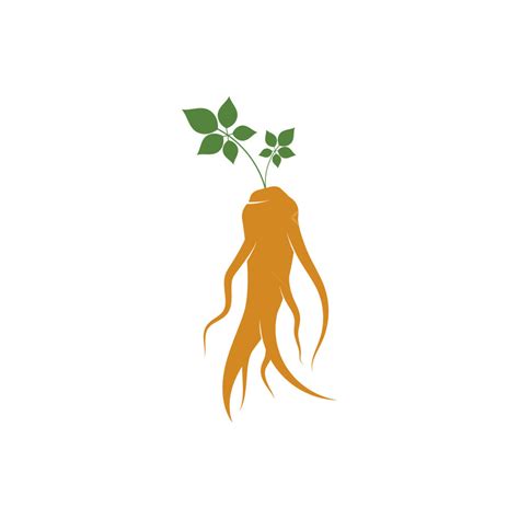 인삼 아이콘 벡터 일러스트 디자인 로고 템플릿 외딴 식물 에너지 Png 일러스트 및 벡터 에 대한 무료 다운로드