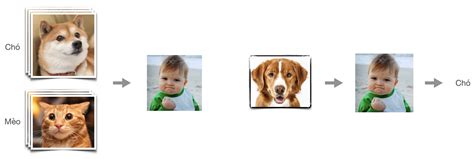 Huấn Luyện Mô Hình Object Detection Với Yolov5 Panda Ml