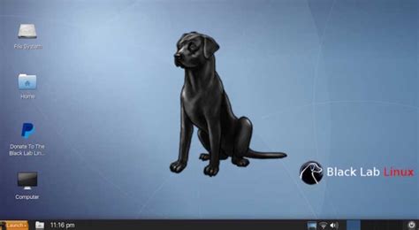 Black Lab Linux 7 7 Released With Security Fixes And New Software