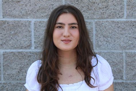 Nazanin Ghiassi Sword And Shield